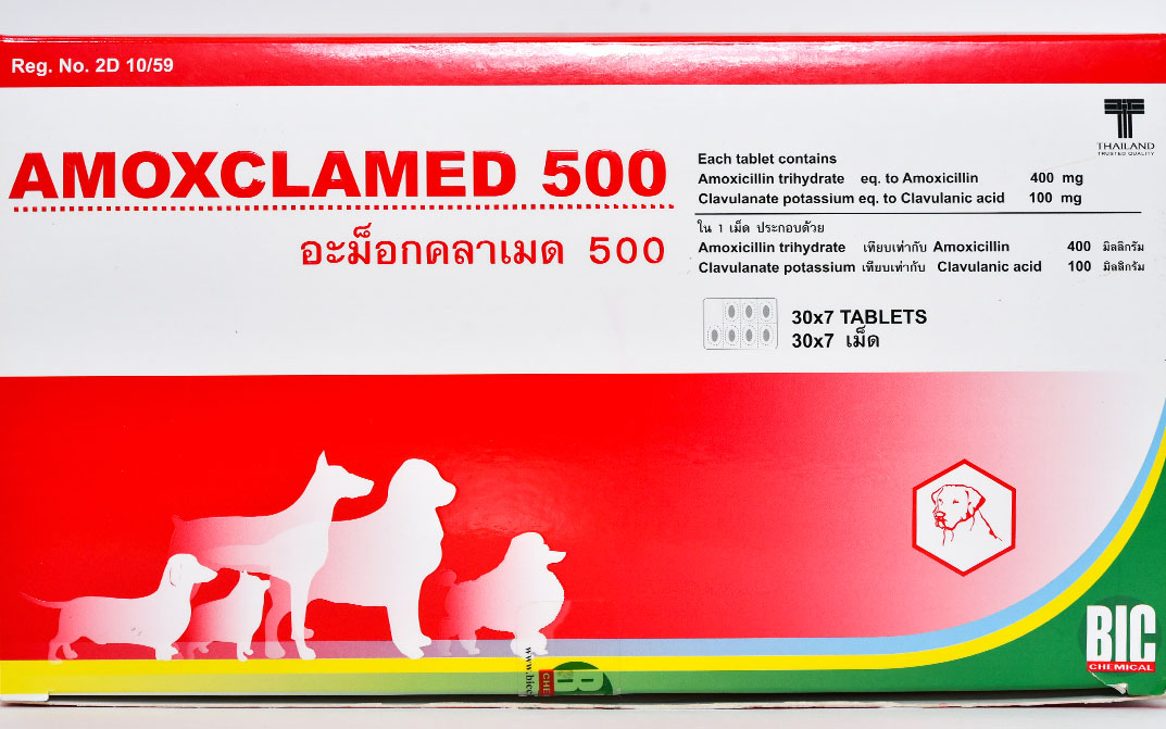 Amoxy Clavulanic Acid